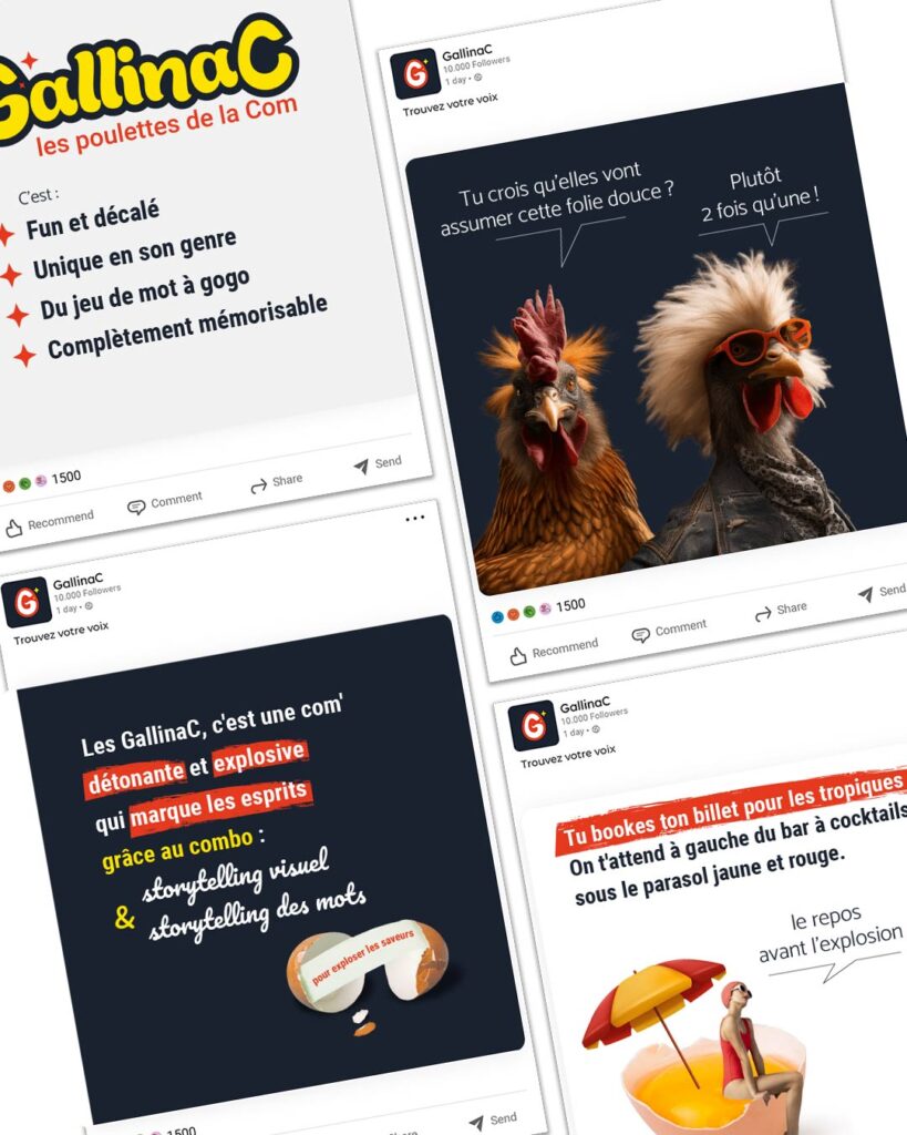 Création univers graphique collectif - Vesta Communication